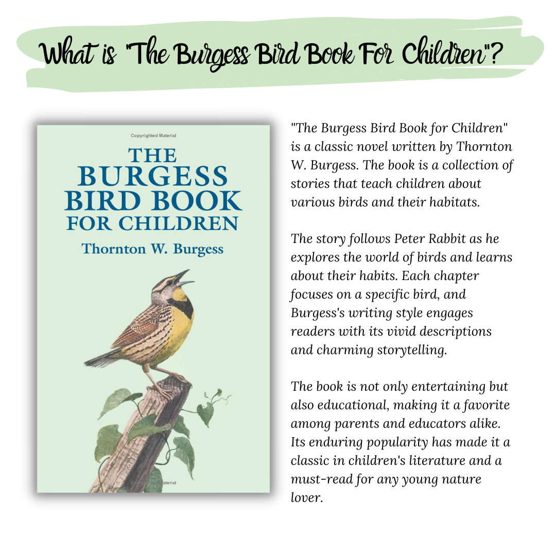 The Burgess Bird Book Nature Study Guide – The Masterpiece Studio