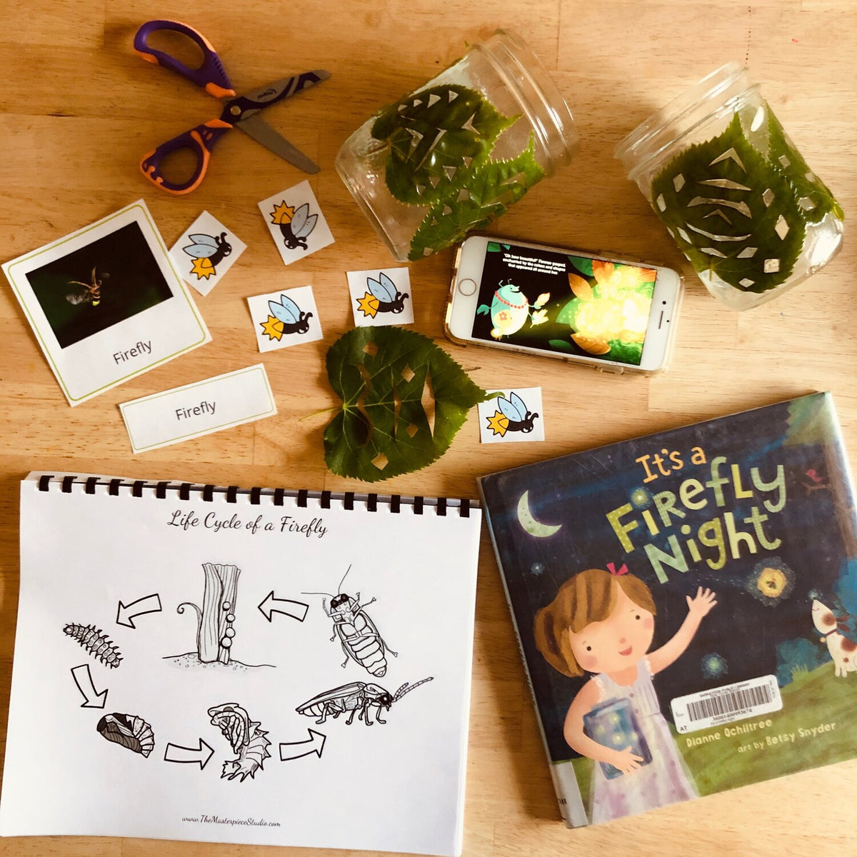 Fireflies in the Garden Learning Pack with Firefly Life Cycle – The ...