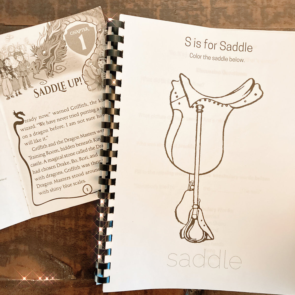 The Dragon Masters Novel Study Guide: Book 3 "Secret of the Water Drag ...