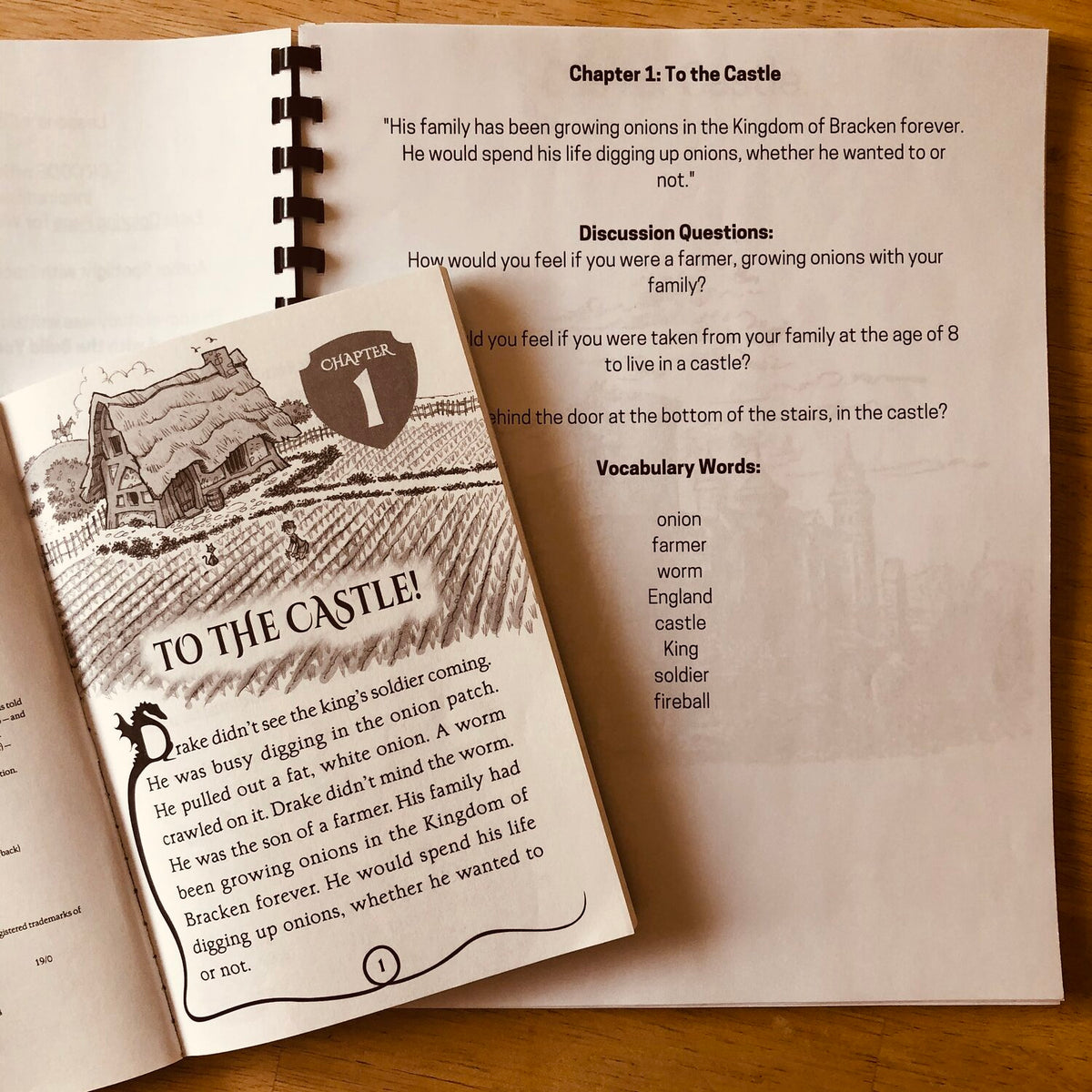 The Dragon Masters Novel Study Guide: Book 1 "Rise of the Earth Dragon ...