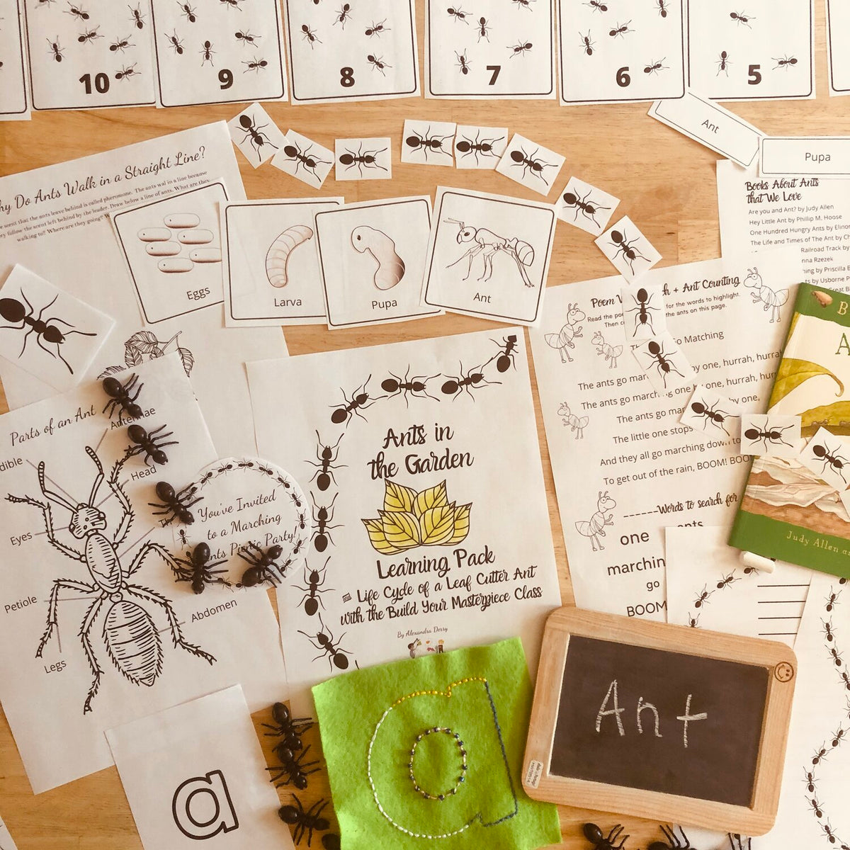 Ants in the Garden Learning Pack with Ant Life Cycle – The Masterpiece ...