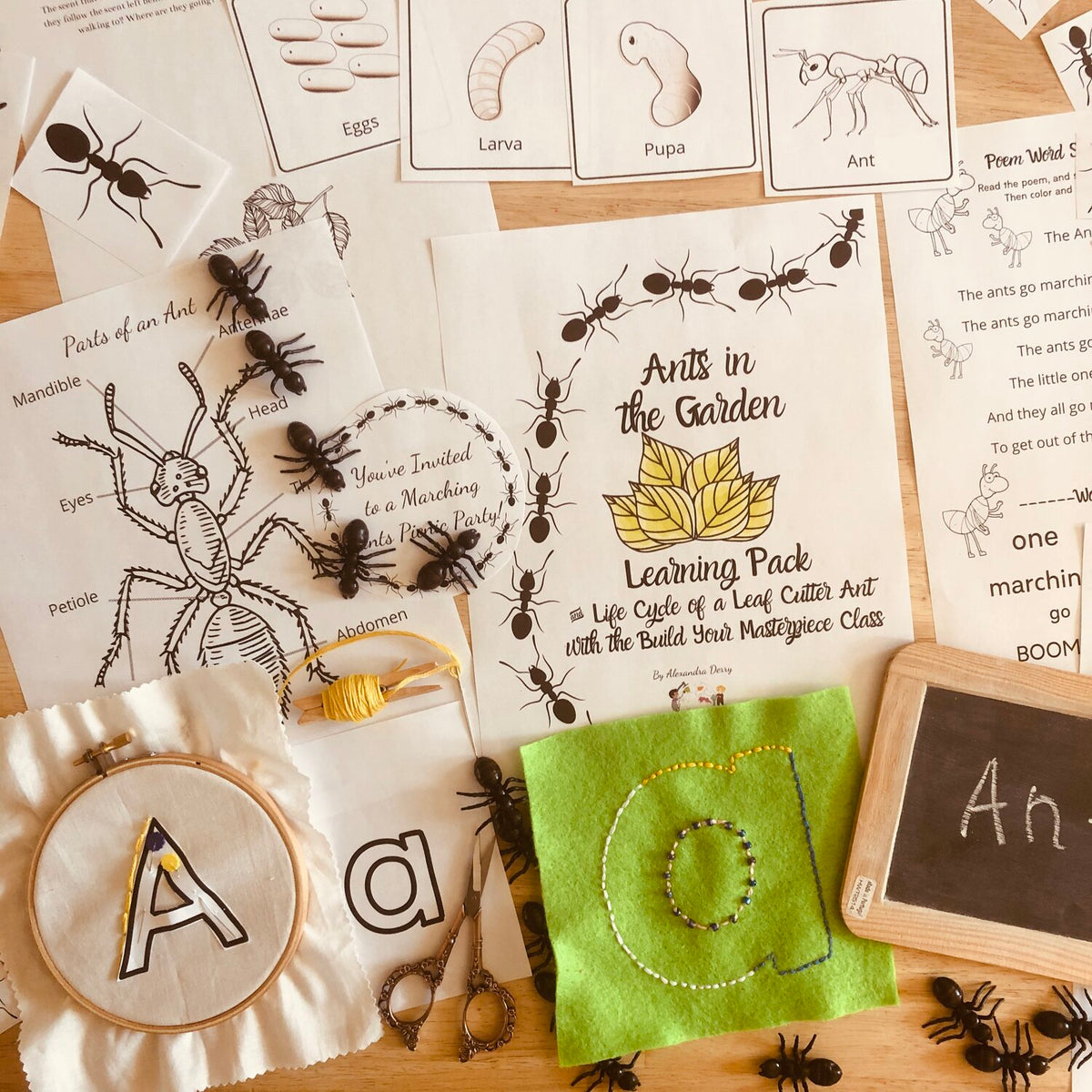 Ants in the Garden Learning Pack with Ant Life Cycle – The Masterpiece ...