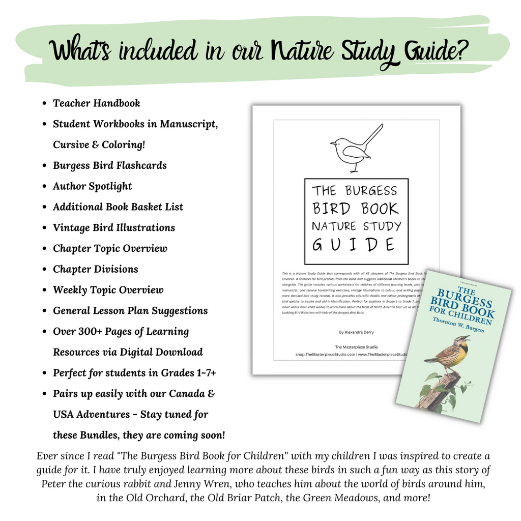 The Burgess Bird Book Nature Study Guide – The Masterpiece Studio