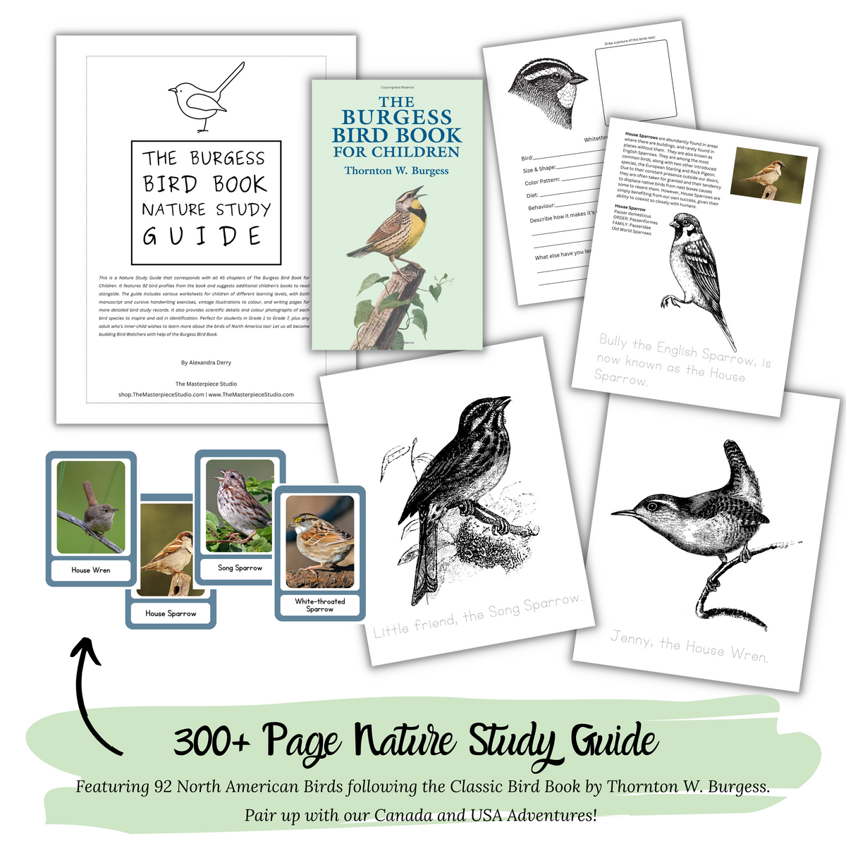 The Burgess Bird Book Nature Study Guide – The Masterpiece Studio