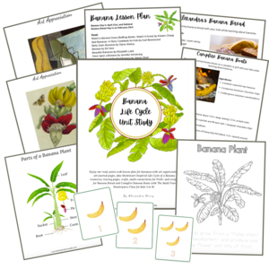 Banana Life Cycle Unit Study – The Masterpiece Studio