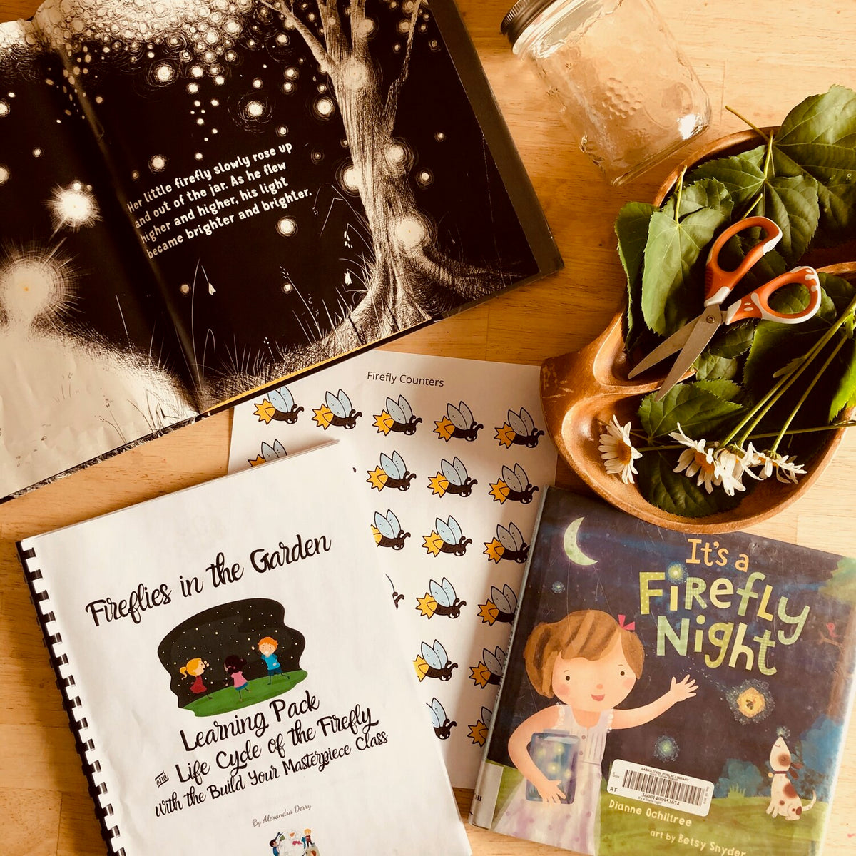 Fireflies in the Garden Learning Pack with Firefly Life Cycle – The ...