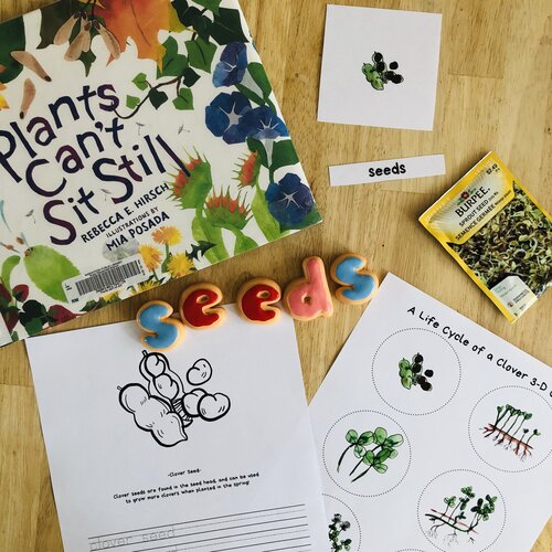 Life Cycle of a Clover Unit Study – The Masterpiece Studio