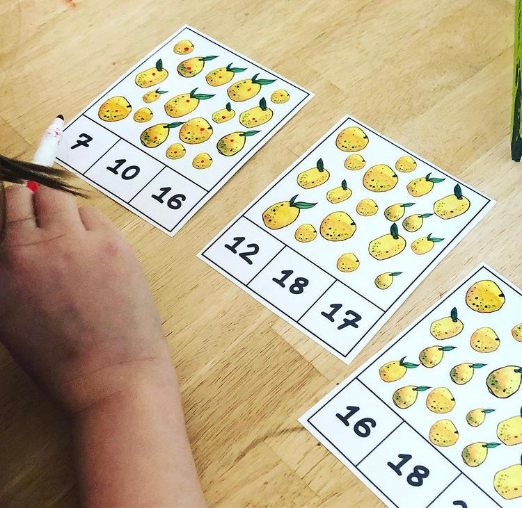 Adventures in Italy Week 6 Gardens + Lemon Life Cycle BUNDLE – The ...