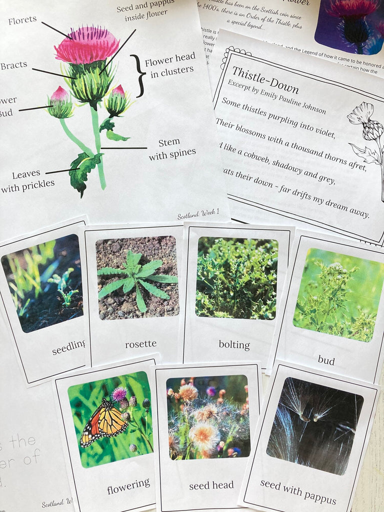 Adventures in Scotland - 3 Week Unit Study Bundle - Great Britain Seri ...