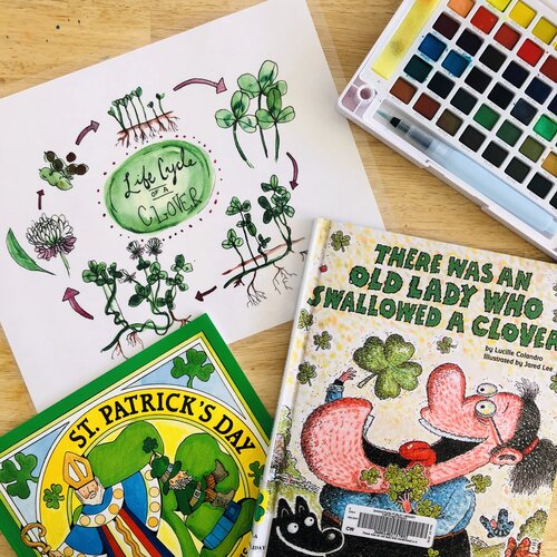 Life Cycle of a Clover Unit Study – The Masterpiece Studio