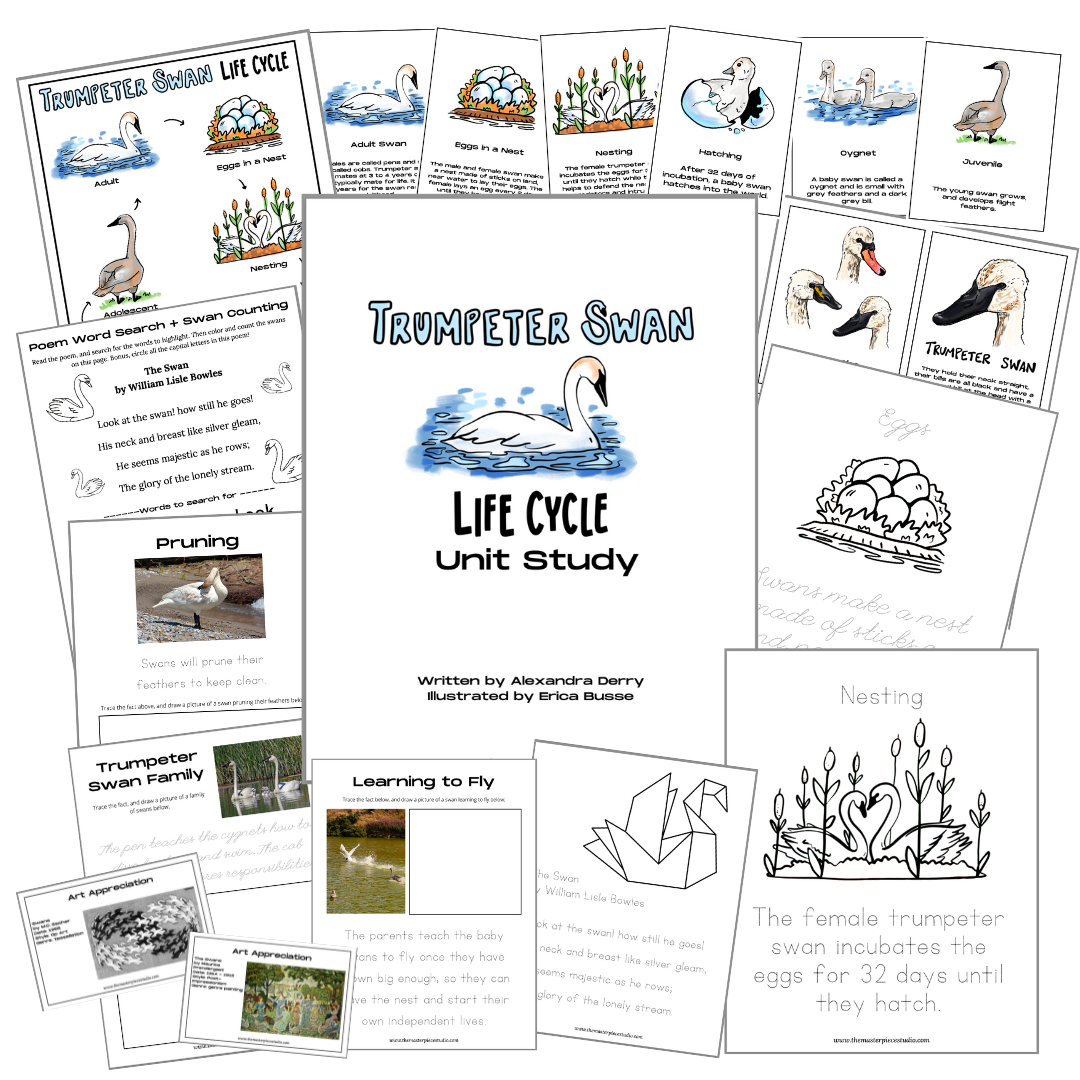 Trumpeter Swan Life Cycle Unit Study – The Masterpiece Studio