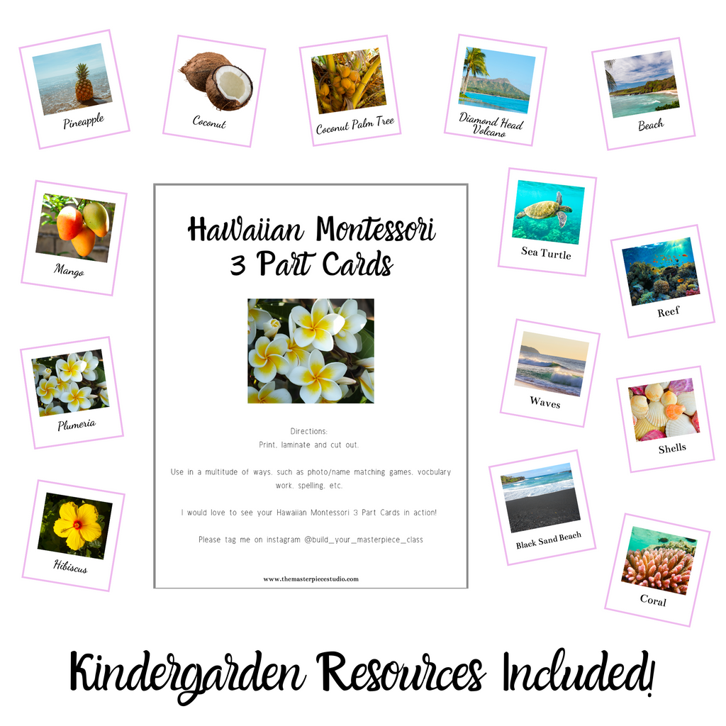 Adventures in Hawaii Unit Study BUNDLE – The Masterpiece Studio